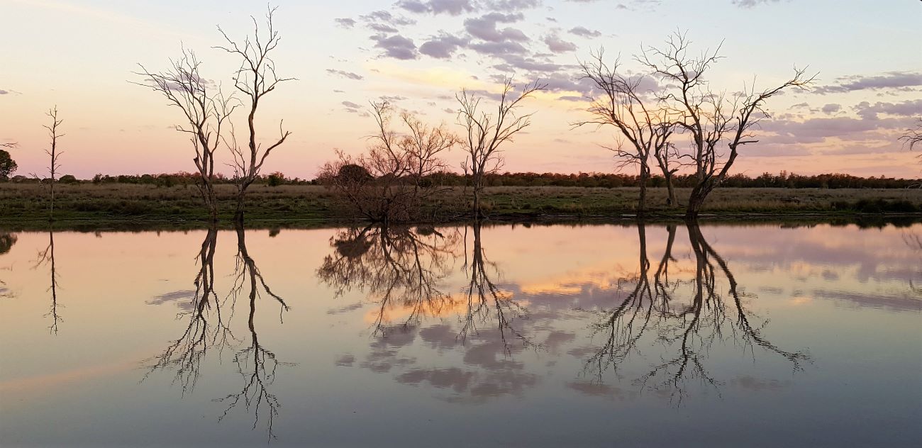 Gallery - Australian Walkabout