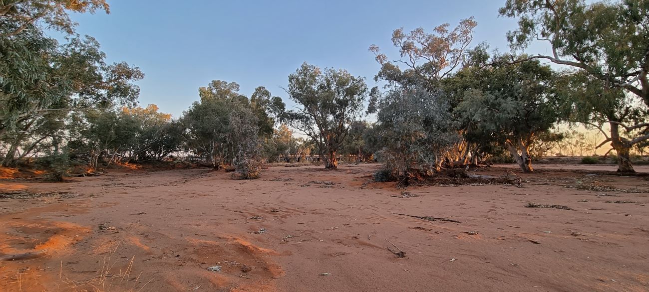 Lake Pamamaroo – Menindee – Australian Walkabout