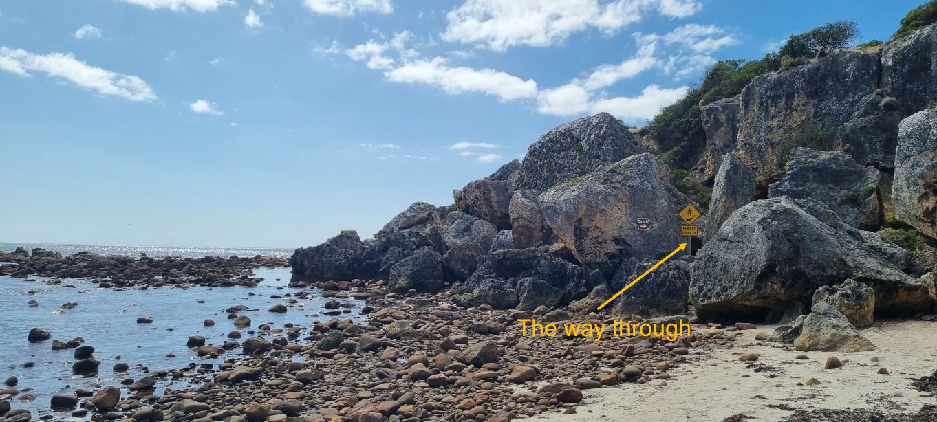 Kangaroo Island – Australian Walkabout